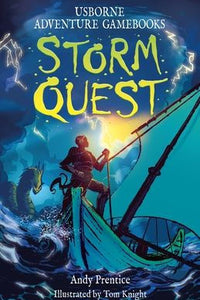 Storm Quest — Learning Express Houston