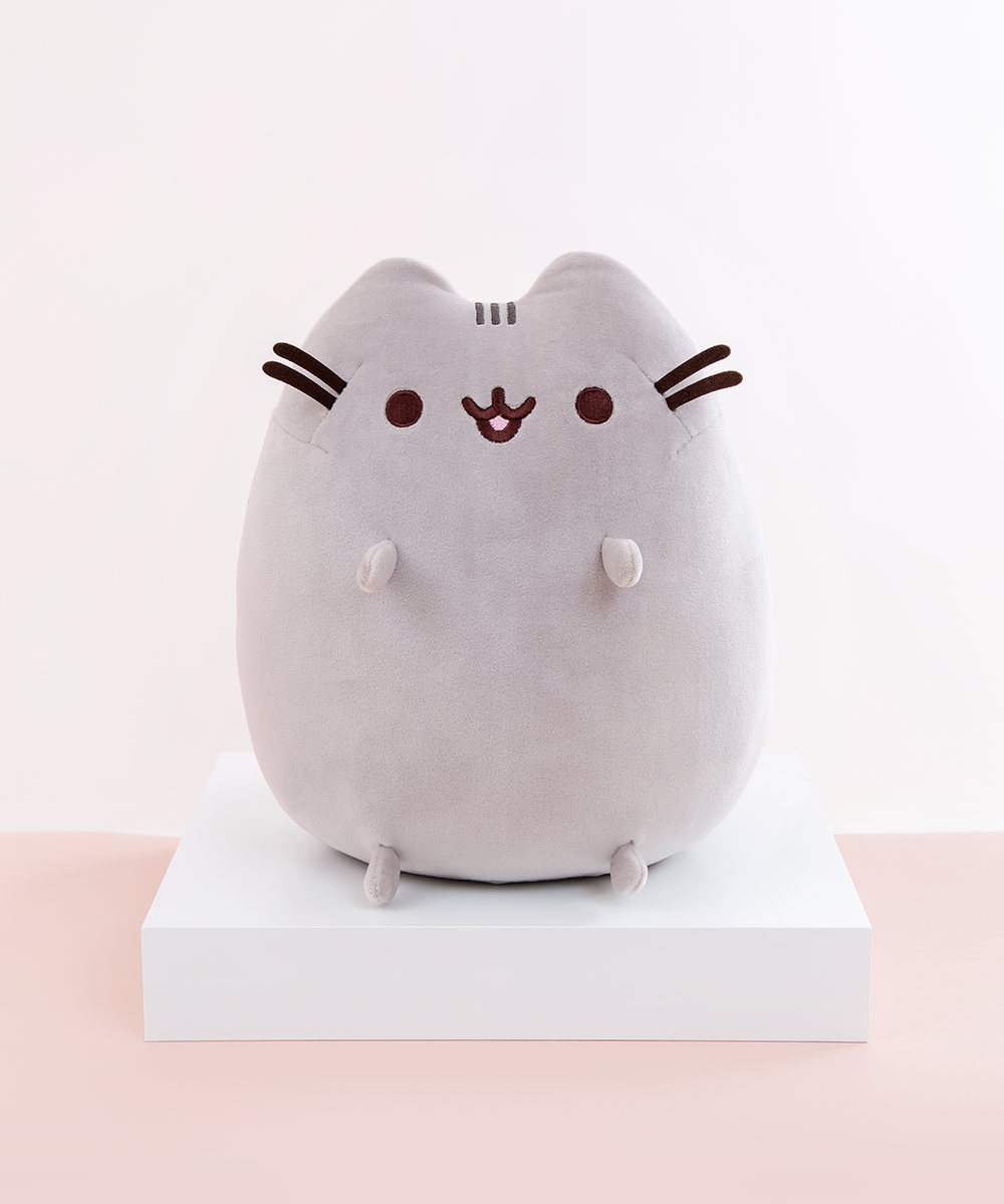 Pusheen Cat — Learning Express Houston